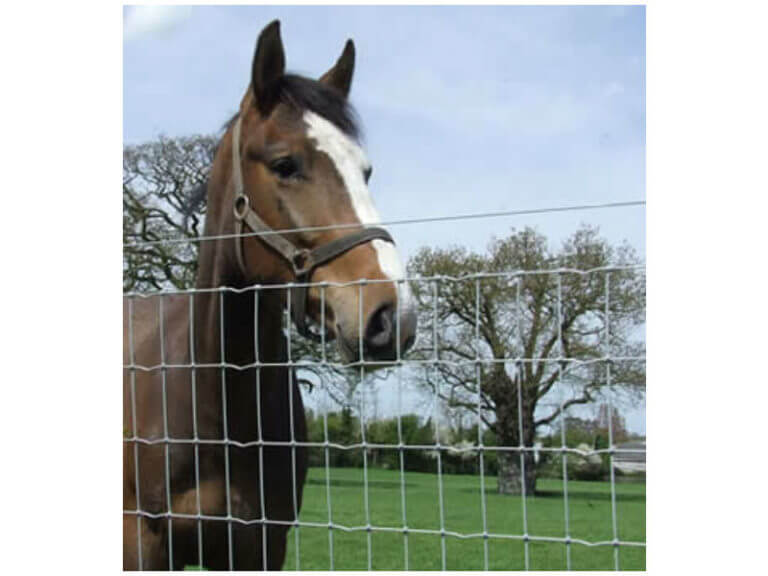 Equine Horse Mesh 10-90-5 x 50m 900mm Galvanised Horse Fencing | Equine ...