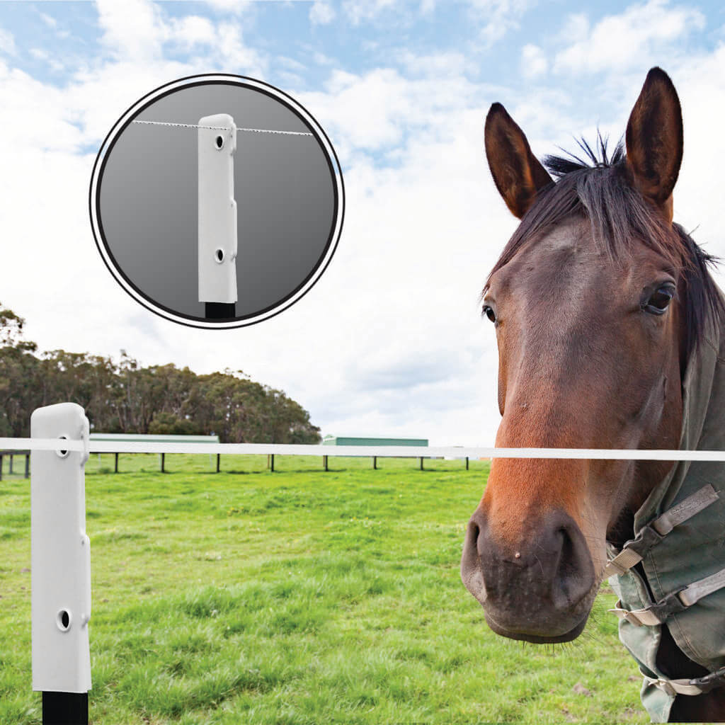 Whites Horse Safe Post Cap | Horse Safe Fence Post Caps